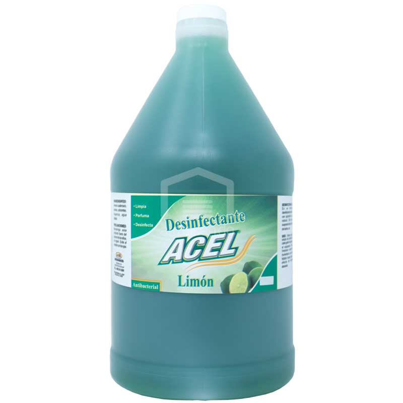 almacen.do - Presentes en todos los momentos